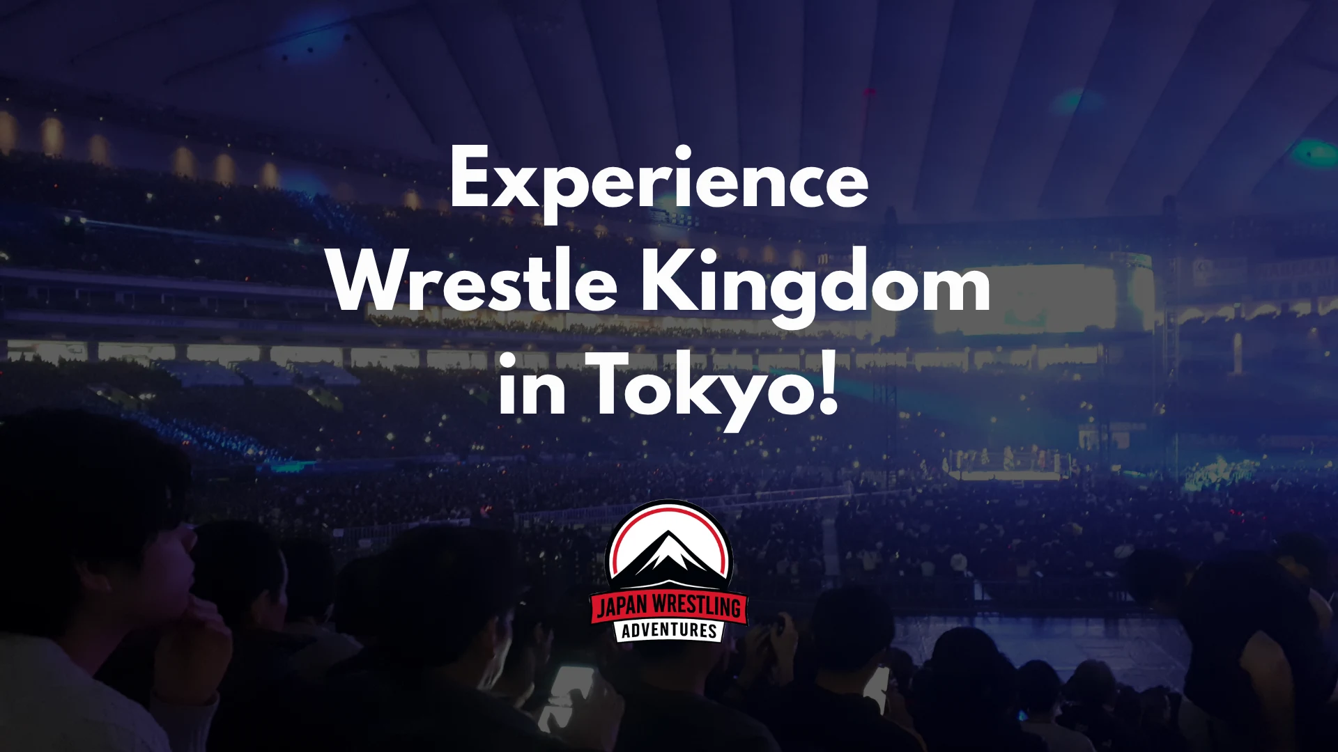 10 Reasons to Book Your Wrestle Kingdom Trip with Japan Wrestling ...